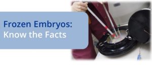 Frozen Embryos: Know the Facts | City Fertility