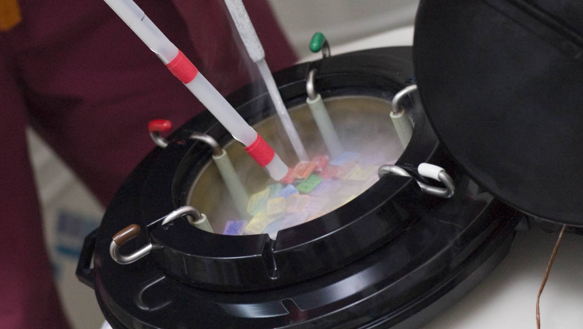 Frozen embryos: know the facts | City Fertility