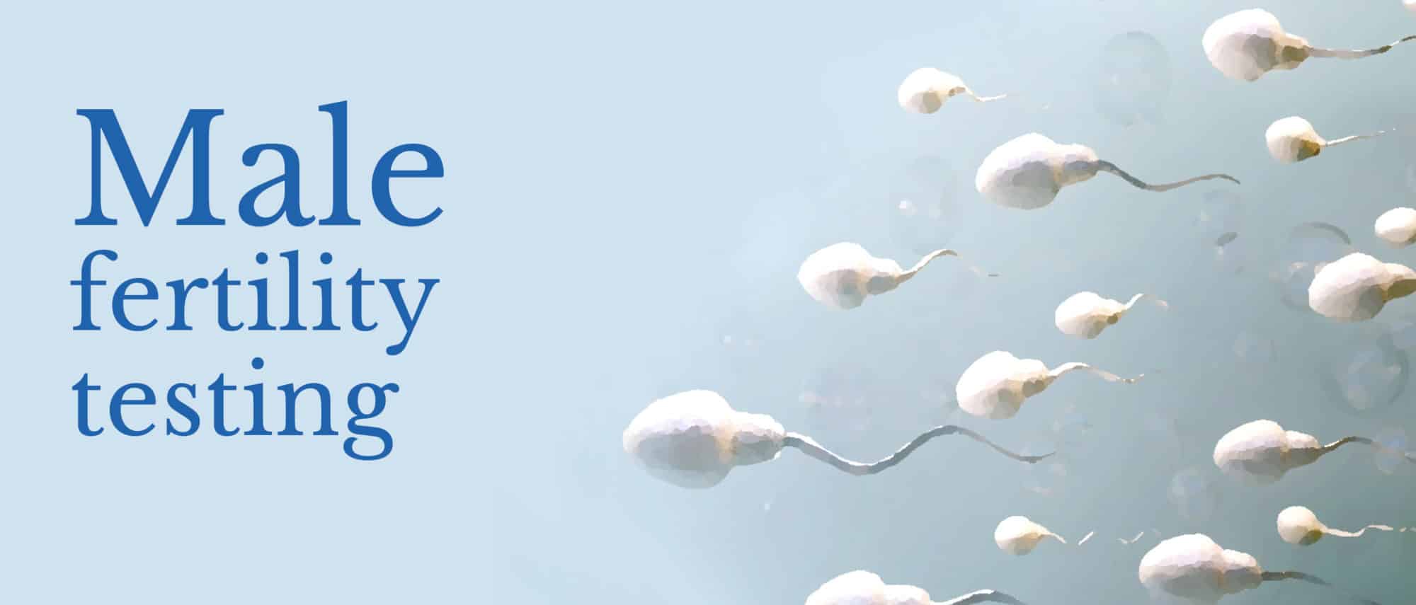 An insight into male fertility testing | City Fertility