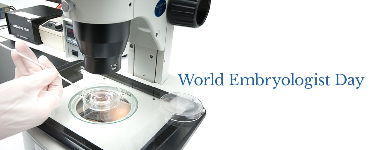 So exactly what does an embryologist do? | City Fertility