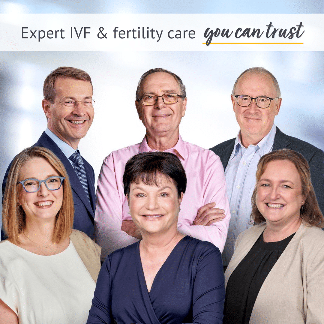 What's New | City Fertility