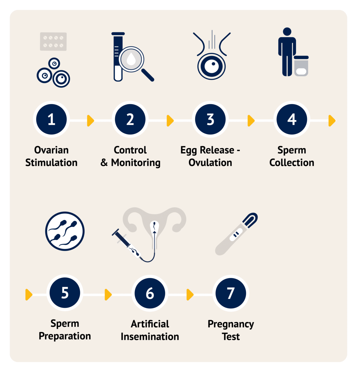 City FertilityArtificial Insemination & IUI Treatment | City Fertility