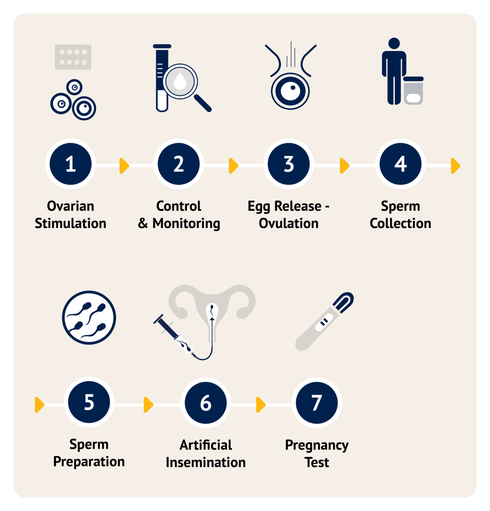 City FertilityArtificial Insemination & IUI Treatment | City Fertility