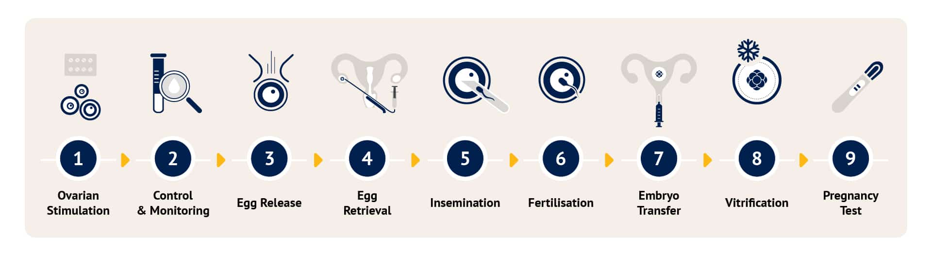 IVF Process & Treatment Options | City Fertility