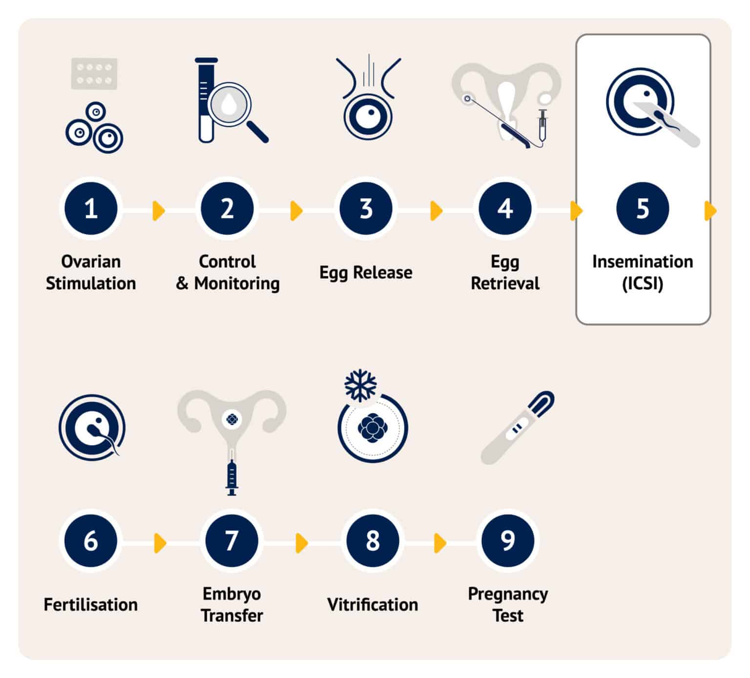 ICSI | IVF Fertility Treatment