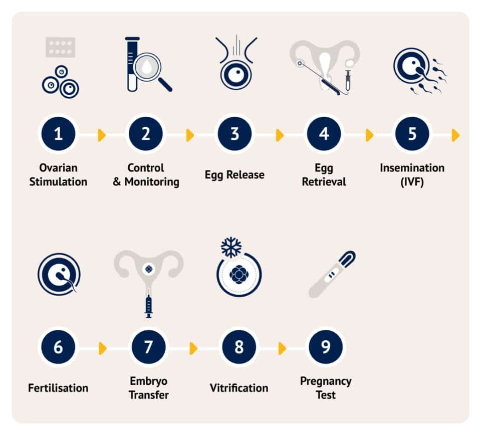 City FertilityIVF Treatment: Process and Timeline | City Fertility