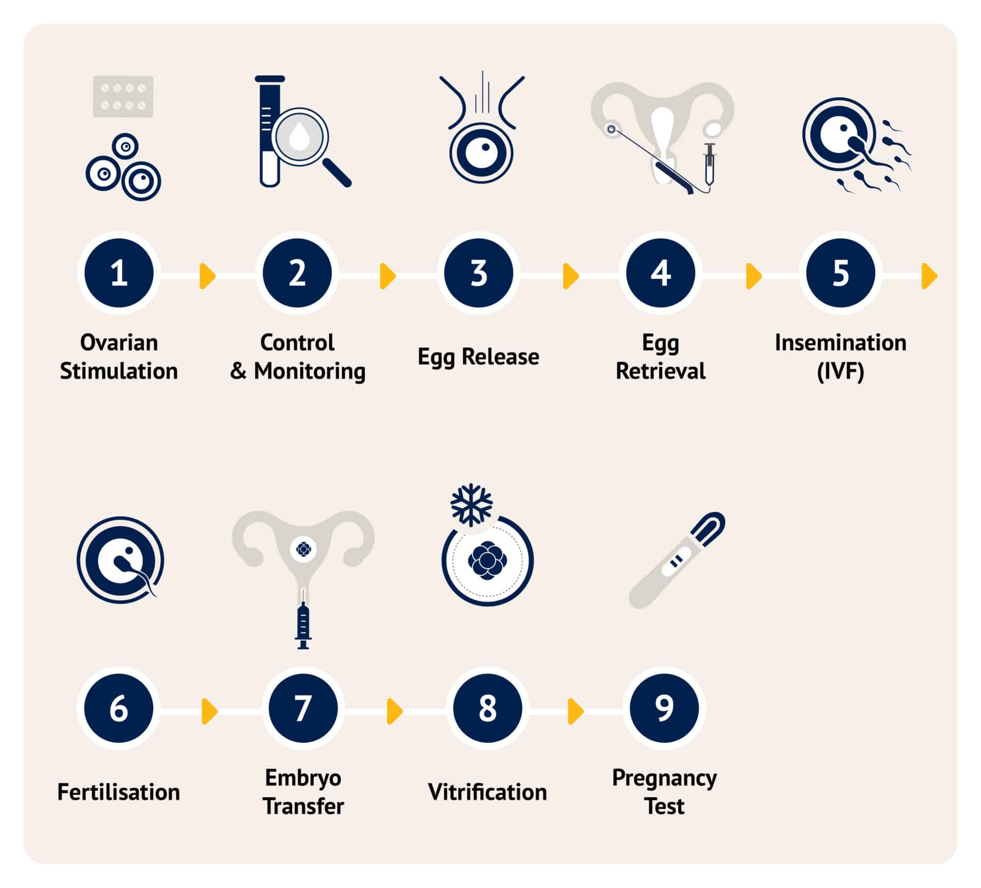 IVF Treatment: Process and Timeline | City Fertility