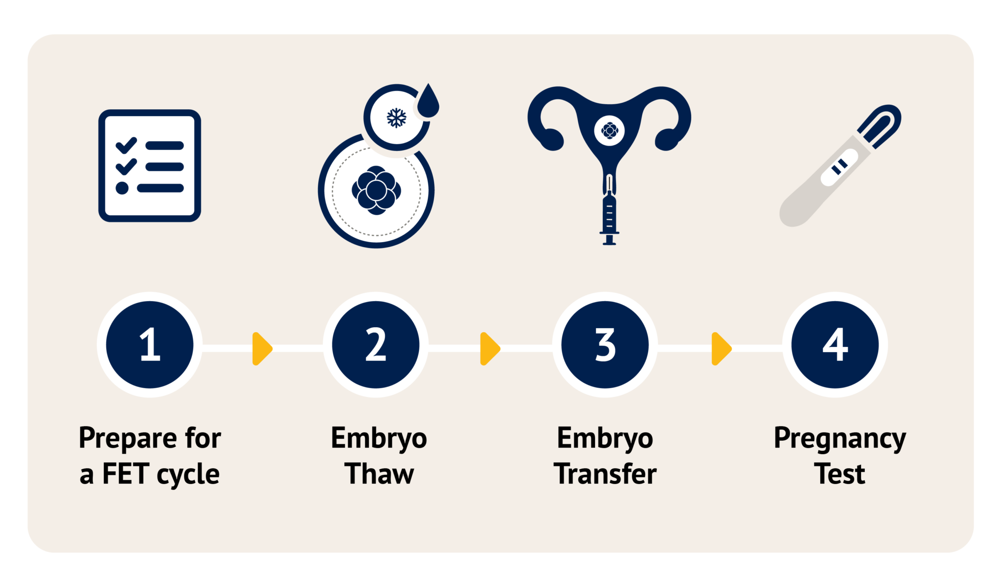 Frozen Embryo Transfer (FET)